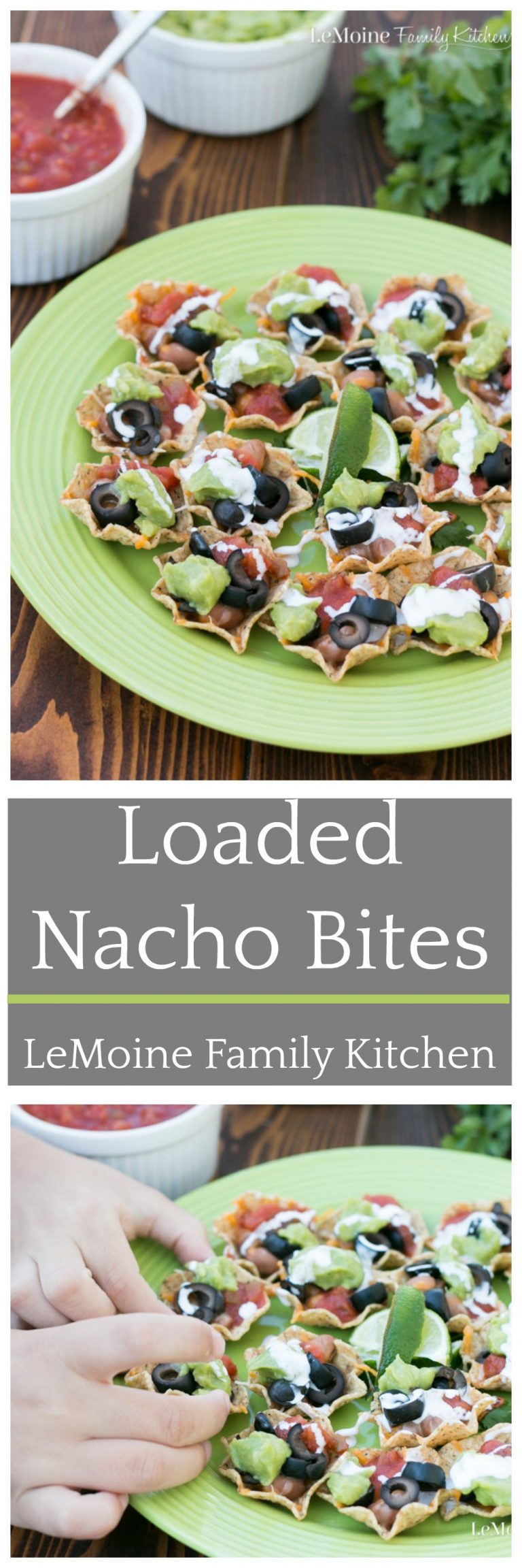 Loaded Nacho Bites